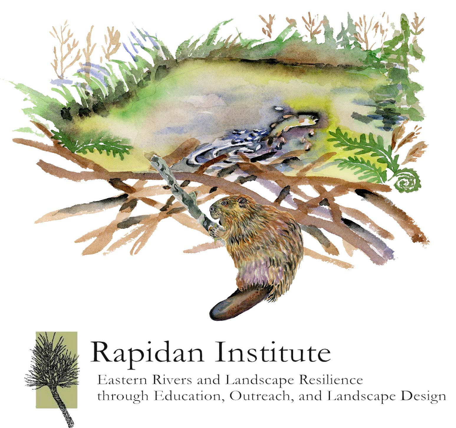 Rapidan Institute - American Climate Partners